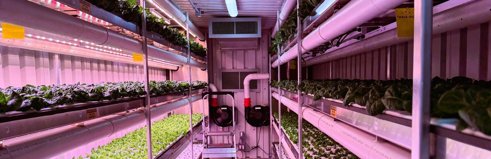 Welcoming Our New Vertical Farm Technician: Keshav Bhattarai - Georges ...